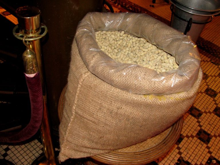 SINGAPORE TOURIST SPOT: Long Bar