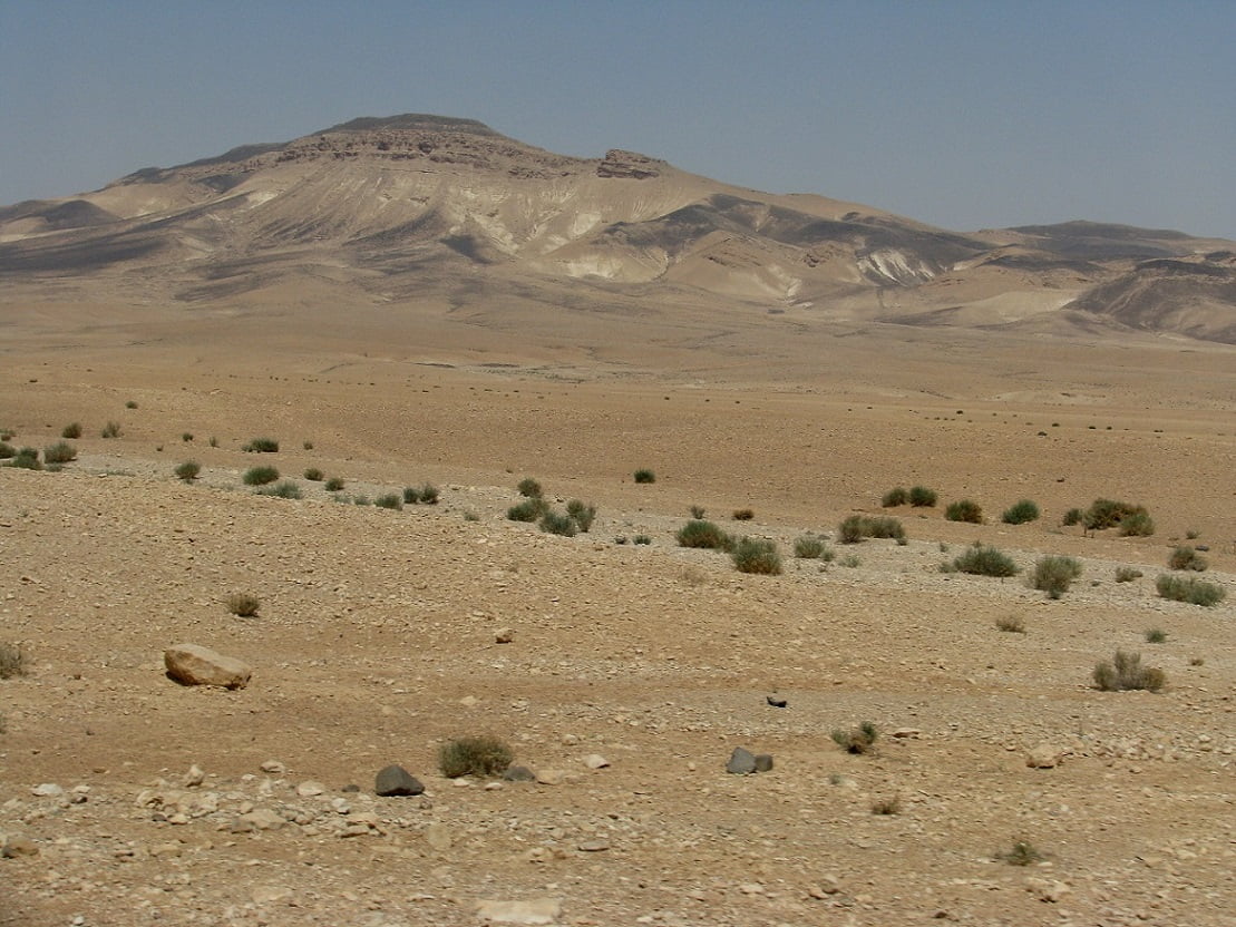 THINGS TO DO IN PALMYRA :: Meet the Ancient City