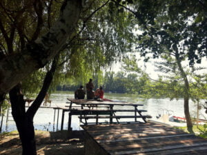 Things to do in Novi Bečej :: GLIMPSES OF THE WORLD