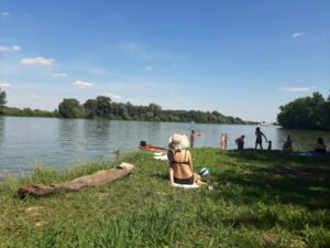 NOVI BEČEJ SERBIA :: Things To See & Do